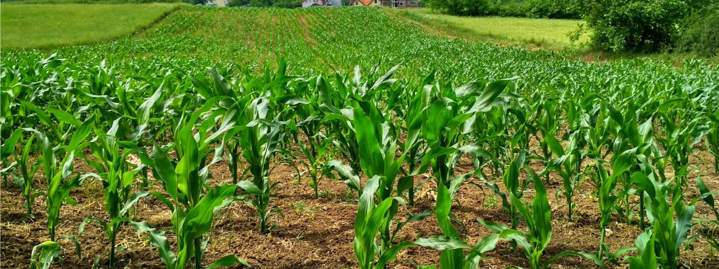 Así se enfocarían en 2023 los créditos para el agro en Colombia - DQI S.A.